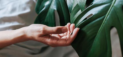 Wellness für die Sinne | Wellness-Therme FORTYSEVEN, Baden